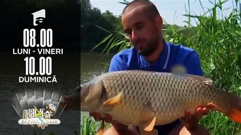 Duel N Undi E Studen Ii De La Medicin Vs Drept Reportaje Neatza