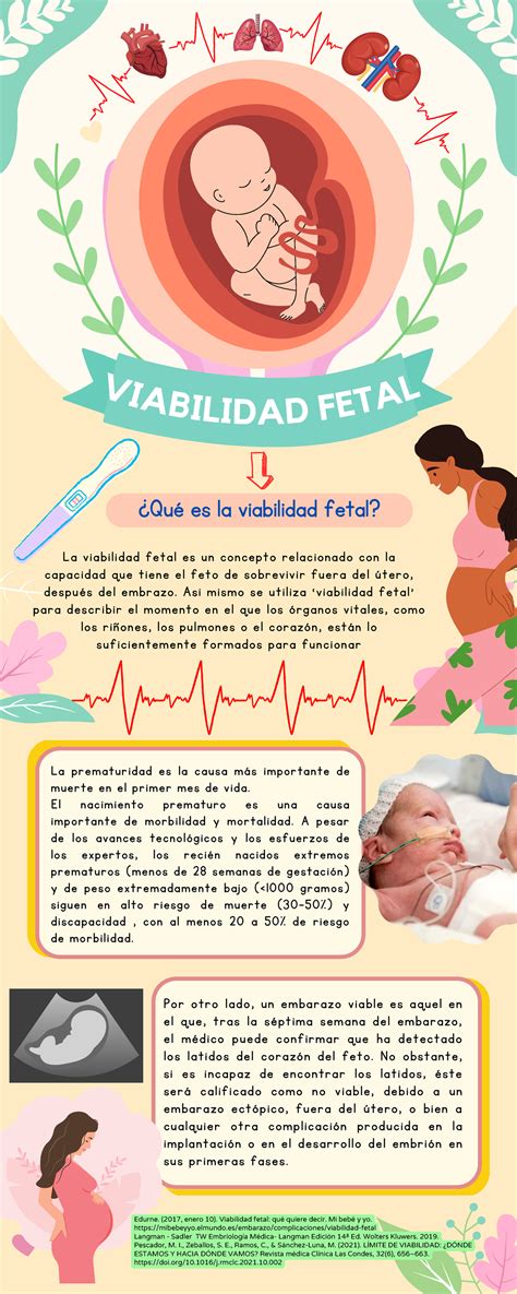 Viabilidad Fetal Y Maduración Pulmonar Semana 5 La viabilidad fetal