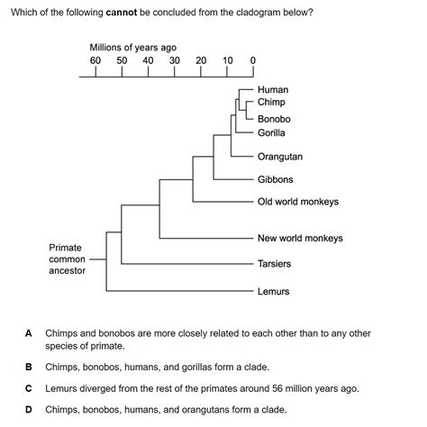 Classification Cladistics DP IB Biology SL Multiple Choice Paper