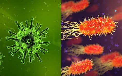 Características de virus y bacterias Que Características