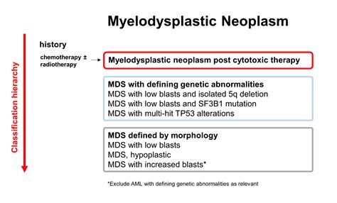 The New Who Classification Mll