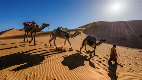 Tour De D As Desde Marrakech A Fez Por El Desierto De Merzouga