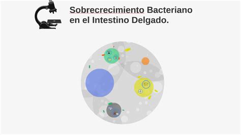 Sobrecrecimiento Bacteriano En El Intestino Delgado By Nadia Perez
