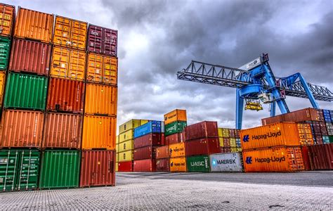 En 8 9 Crecieron Las Exportaciones Agropecuarias Y Forestales En Enero