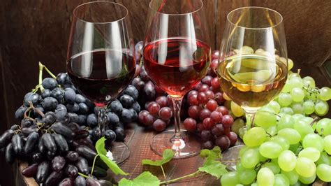 Tout Ce Qu Il Faut Savoir Sur Le Temps De Garde Des Vins Rouges