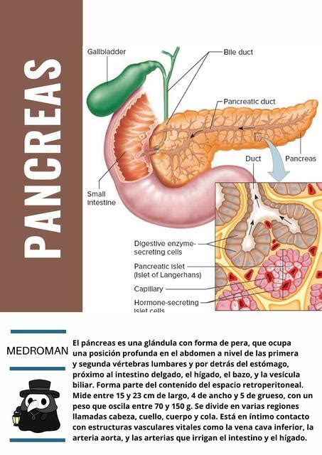 Pancreatitis aguda y crónica MEDROMAN uDocz
