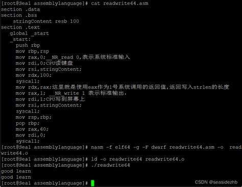 操作系统实战45讲之64位inter汇编语言系统调用浅析，使用nasm汇编器，标准输入的内容输出到标准输出 64位汇编调用 csdn博客