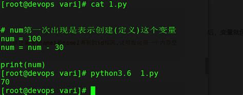 【python】系列之变量和运算符 python语言中各种变量及运算符的使用 csdn博客