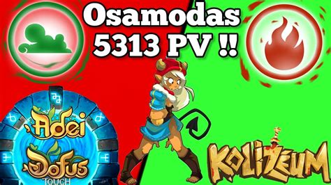 Stuff Cheat Osamodas Feu Air Pv Kolizeum Dofus Touch Youtube