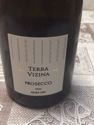 Terra Vizina Prosecco Extra Dry Vivino Brasil