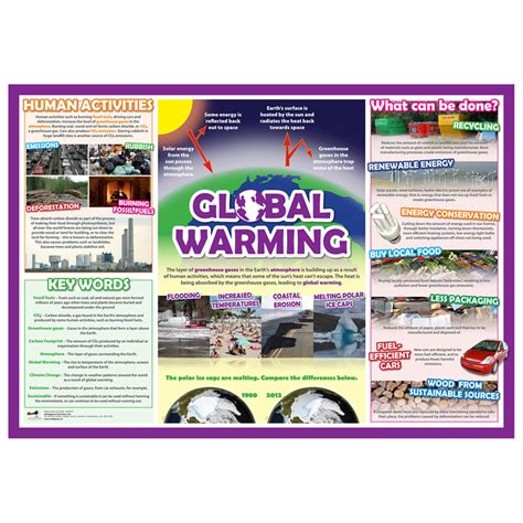 Environmental Issues Poster Set Wildgoose Education