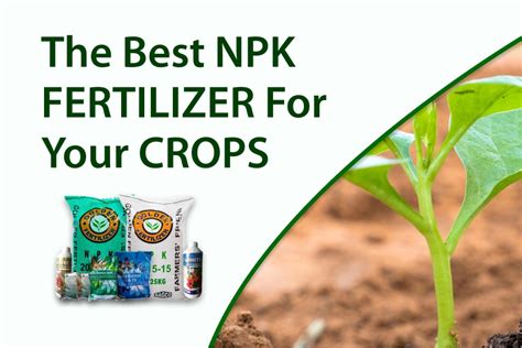 The Best NPK Fertilizer For Your Crops 2023 Farmsquare
