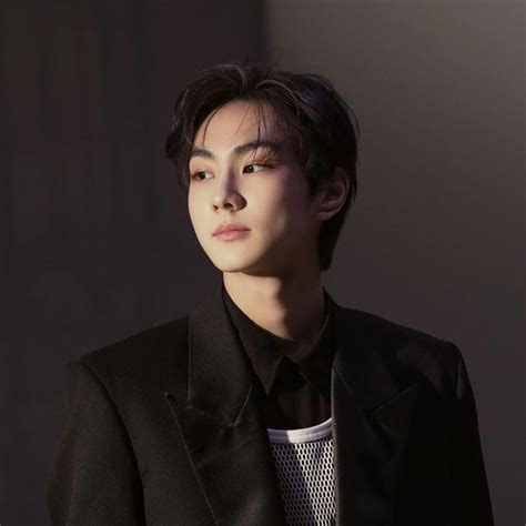 Enhypen Jungwon Perfect Pass Catboy Actors Actresses