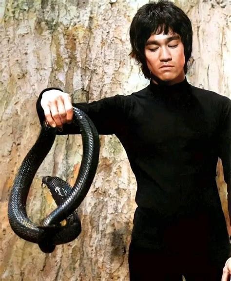 Bruce Lee Photos Ip Man Jackie Chan Kettlebell Kung Fu Martial