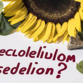 Movimiento Ecologista Protegiendo Los Recursos Hídricos Para Un Futuro