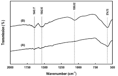 Fourier Transform Infrared Spectroscopy Ftir Spectra Of Naked Fe O