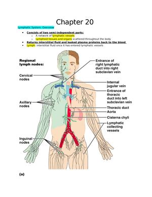 Chapter 21 Shawn Iverson Teacher Chapter 21 Immunity Two