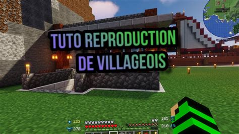 Comment Faire Reproduire Des Villageois Dans Minecraft La Galerie
