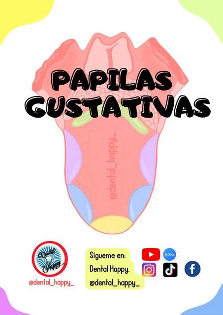 Papilas gustativas Alan Díaz uDocz