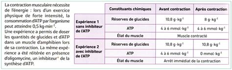 Cours Enseignement spécialité Terminale SVT HTM
