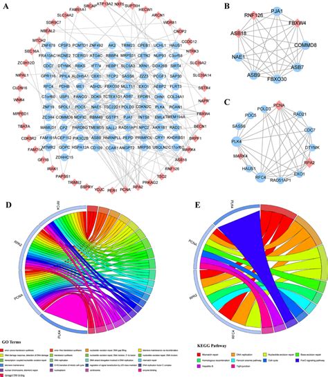 Construction Of PPI Network And Module Analysis A The PPI Network Of