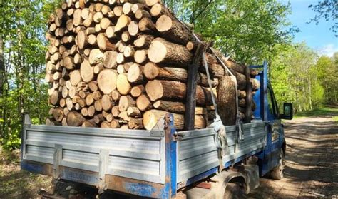 Garda Forestieră Focșani amenzi de peste 100 000 de lei pentru