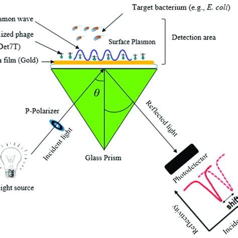 Schematic Diagram Illustrating The Working Principle Of A Surface