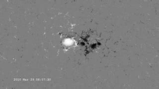 NASA SVS SDO HMI Magnetogram Sunspot Close Up March 29 2010