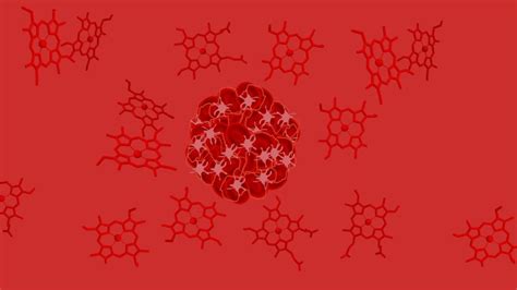 Characterization Of The Molecular Basis Of Labile Heme As A