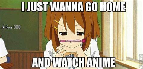 15 Top Anime Memes Funny Jokes Images Pictures QuotesBae