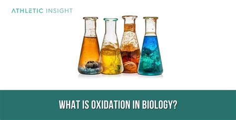 Oxidation Definition How It Works Process And Examples Athletic