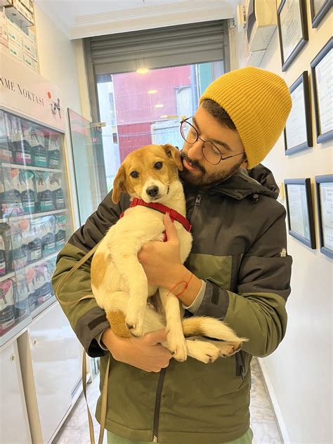 Dilara Alemdar on Twitter Dünyanın en neşeli köpeği Miaya yuva