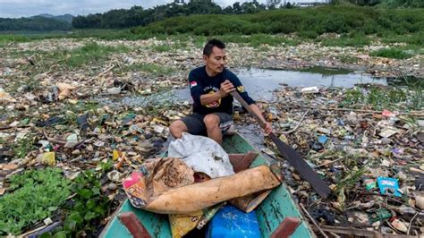 Deterioro ambiental Qué es concepto y definición