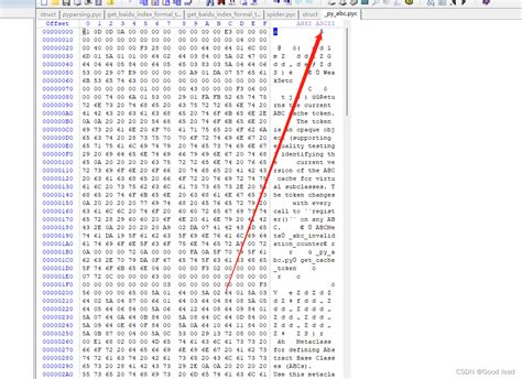 python将pyinstaller 生成的exe文件回编译成py文件（亲测可用，内容详细，大家步骤比较仔细） python exe还原成代码 csdn博客