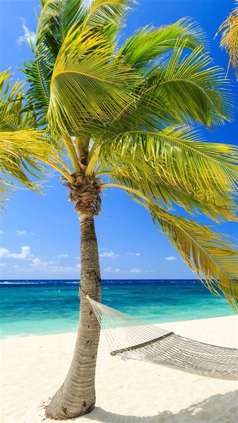 Tropisch paradies meer strand palmen hängematte sommer 3840x2160