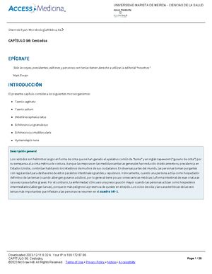 Avance Programa Sintético Fase 4 Avance del contenido del Programa