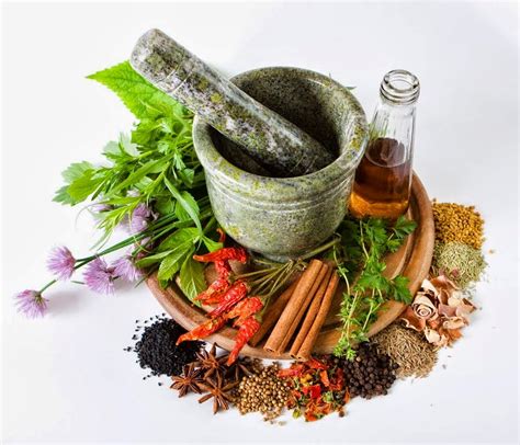 Tanaman Obat Keluarga Homecare24