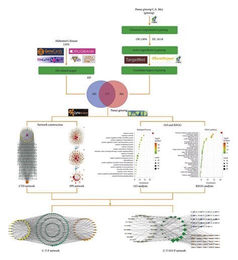 Flowchart Of The Network Pharmacology Analysis For Ginseng Against AD
