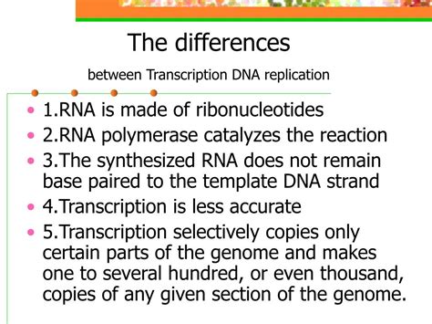 PPT The Differences Between Transcription DNA Replication PowerPoint