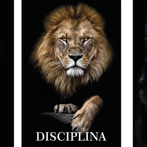 Quadros Decorativos Disciplina Execução Foco Leão S moldura