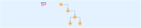 Height Of Tree In Data Structure Scaler Topics