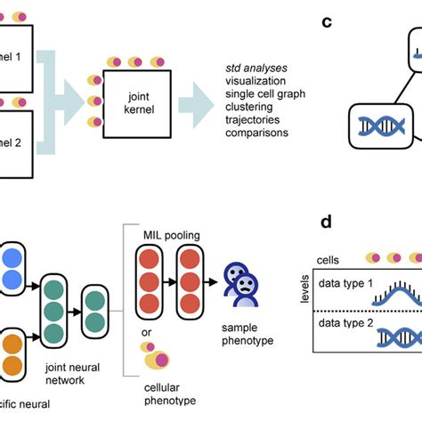 pdf statistical single cell multi omics integration