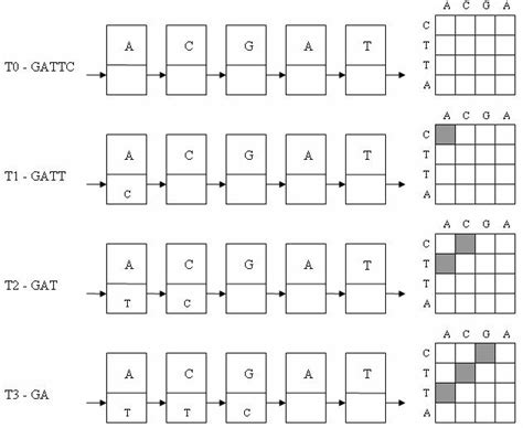 generic systolic array to calculate the similarity matrix download scientific diagram