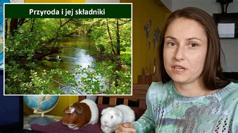 Przyroda i jej składniki przyroda lekcja online dla klasy 4 szkoły