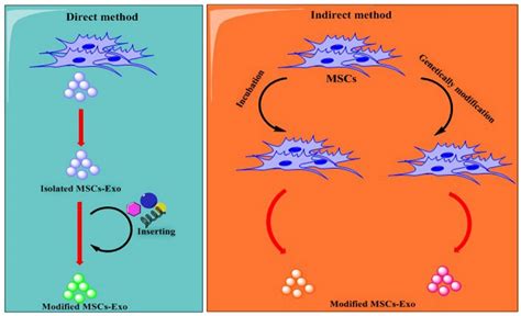 Harnessing Normal And Engineered Mesenchymal Stem Cells Derived