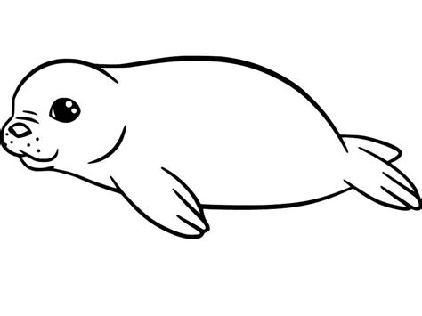 Dibujo Para Colorear Foca Dibujos Para Imprimir Gratis Img Porn Sexiz Pix