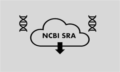 How To Use NCBI SRA Toolkit Effectively