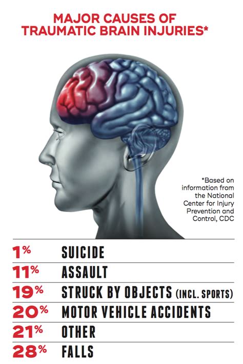 What Is Traumatic Brain Injury Queensland Brain Institute