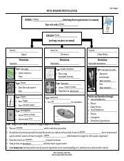 Bio Unit 10 Protista Fungi Notes 2020 SC Pdf Unit 10 Page 5 NOTES