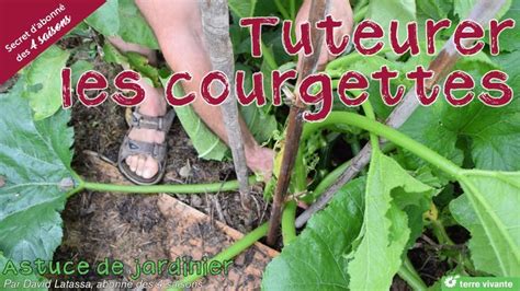 Tuteurer les courgettes Faire son compost Jardinière Permaculture